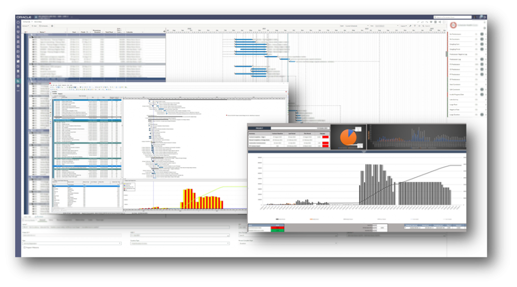 Project Controls - Neuplan